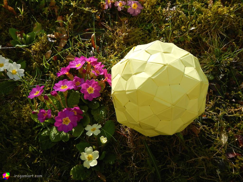 Exintaeder - Irogamiart